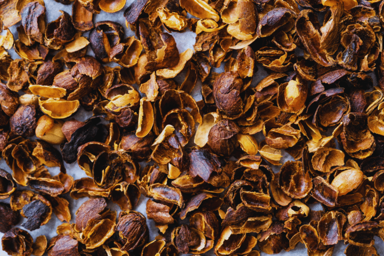 Cascara (Dried Coffee usk)