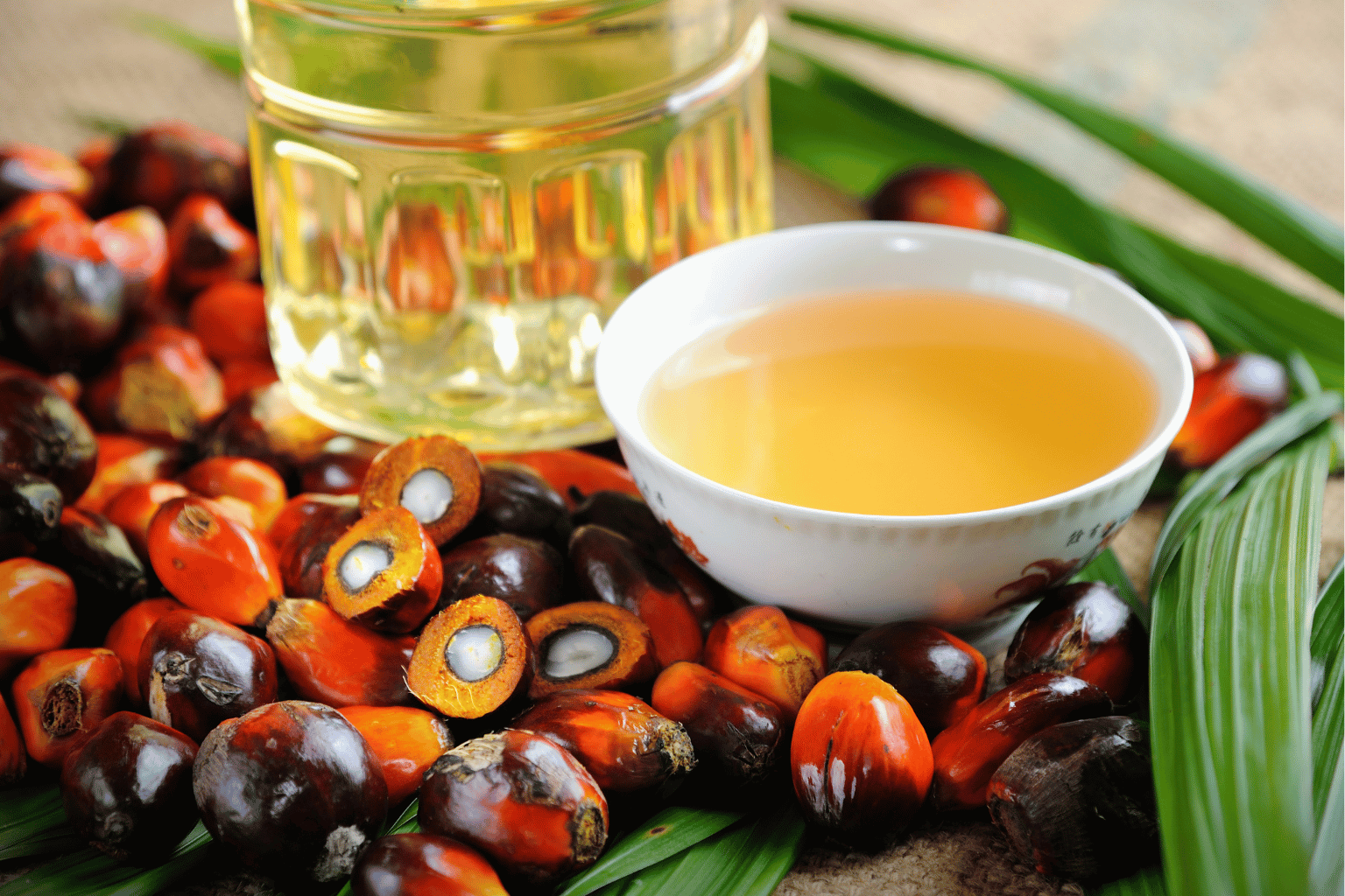 Crude Palm Oil (CPO)