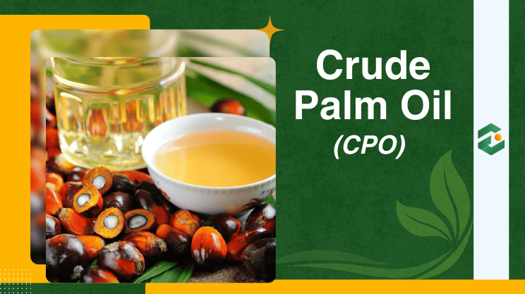 RBD Palm Olein (Palm Cooking oil)