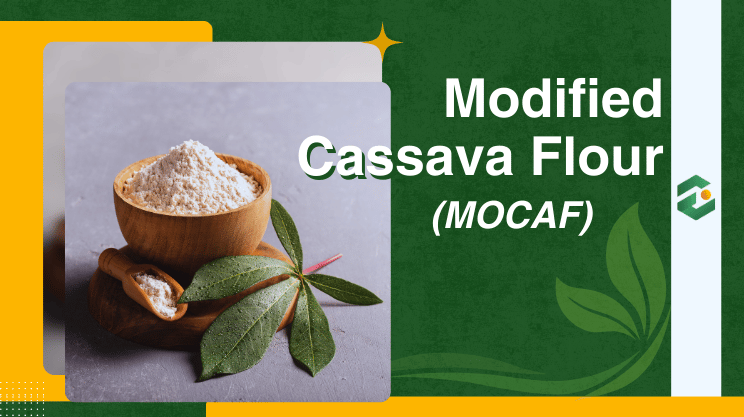 Modified cassava flour (MOCAF)
